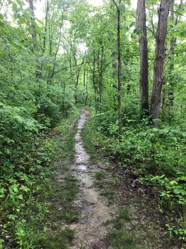 Best Hikes and Trails in Dr. Edmund A. Babler Memorial State Park ...
