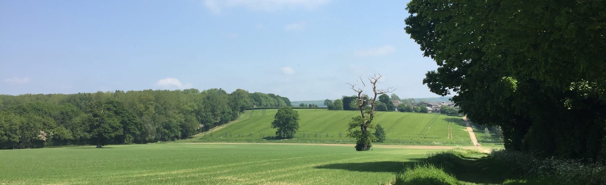 Shipbourne Walking Tour, Kent, England - 85 Reviews, Map | AllTrails