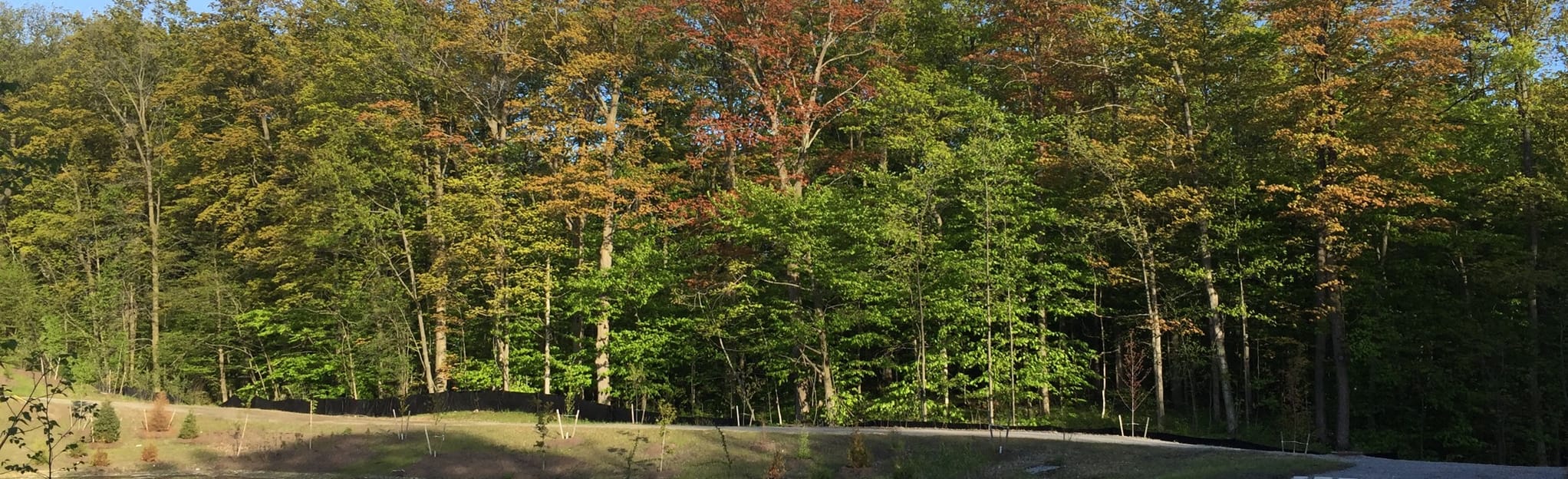 Maple Nature Reserve: 338 foto's - Ontario, Canada | Wandelen - AllTrails