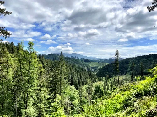 Best Hikes and Trails in Eddyville | AllTrails