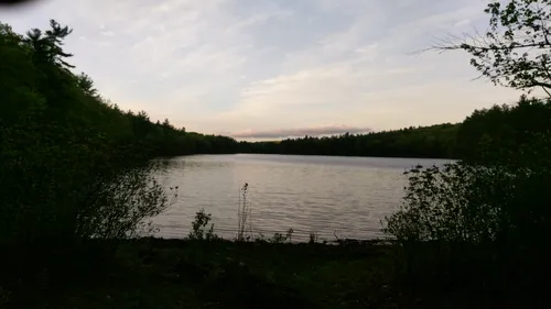 Best Hikes and Trails in Rutland State Park | AllTrails