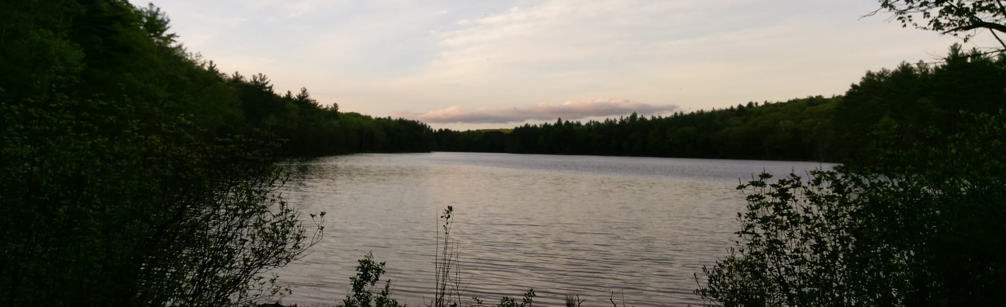 Midstate Trail: East Hill Road to Barre Falls: 98 Reviews, Map ...