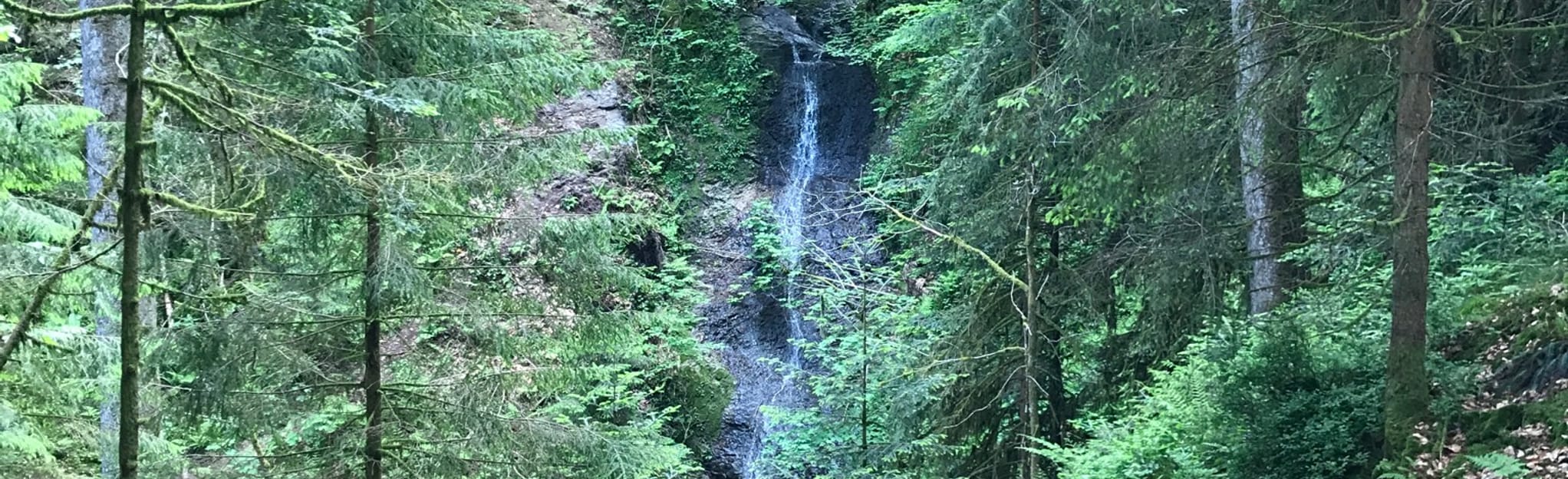 Le Saut de la Bourrique par le Chemin de l'Urson - Vosges, France ...