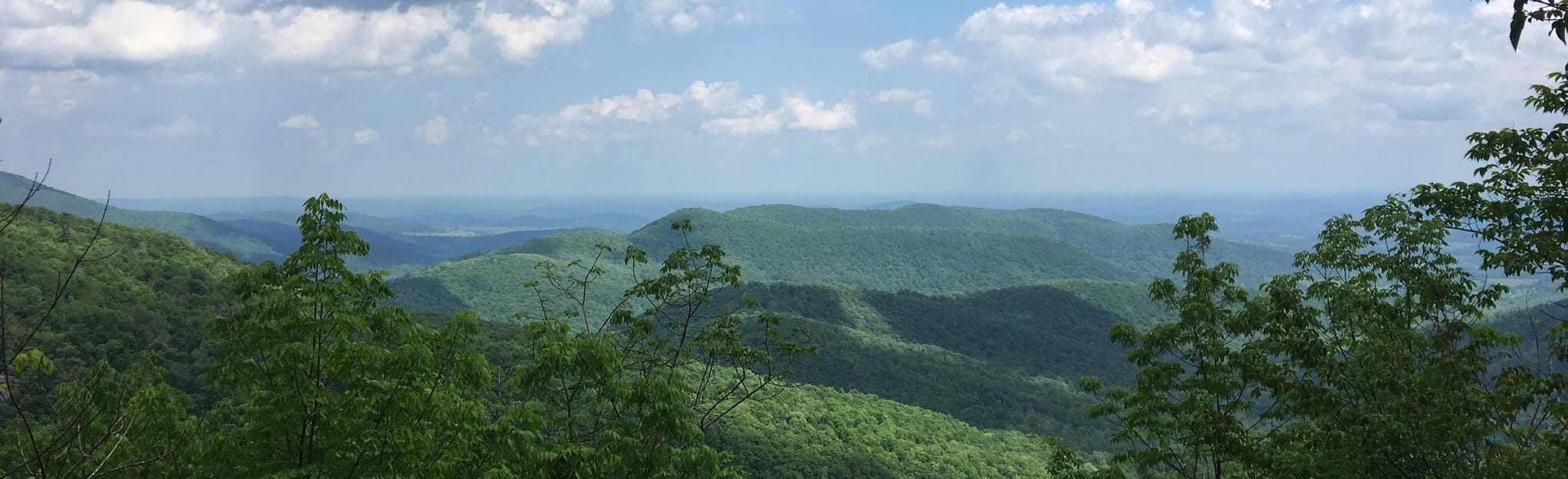 Little Devils Stairs Trail via Keyser Run Road, Virginia - 209 Reviews ...