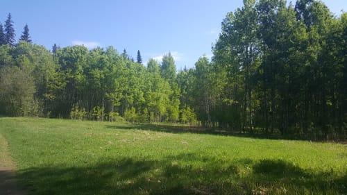 2023 Best 10 Trails and Hikes in Prince George | AllTrails