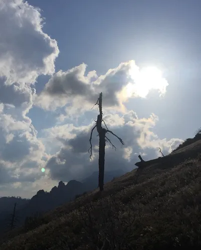 Best Hikes and Trails in Monarch Wilderness | AllTrails