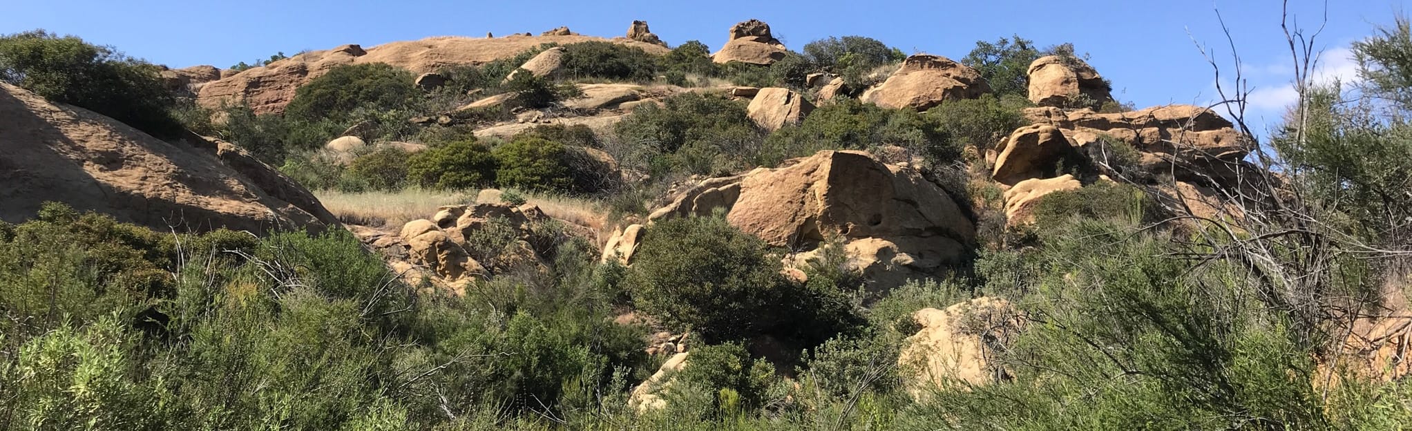 Sage Ranch Loop Trail, California - 437 Reviews, Map | AllTrails
