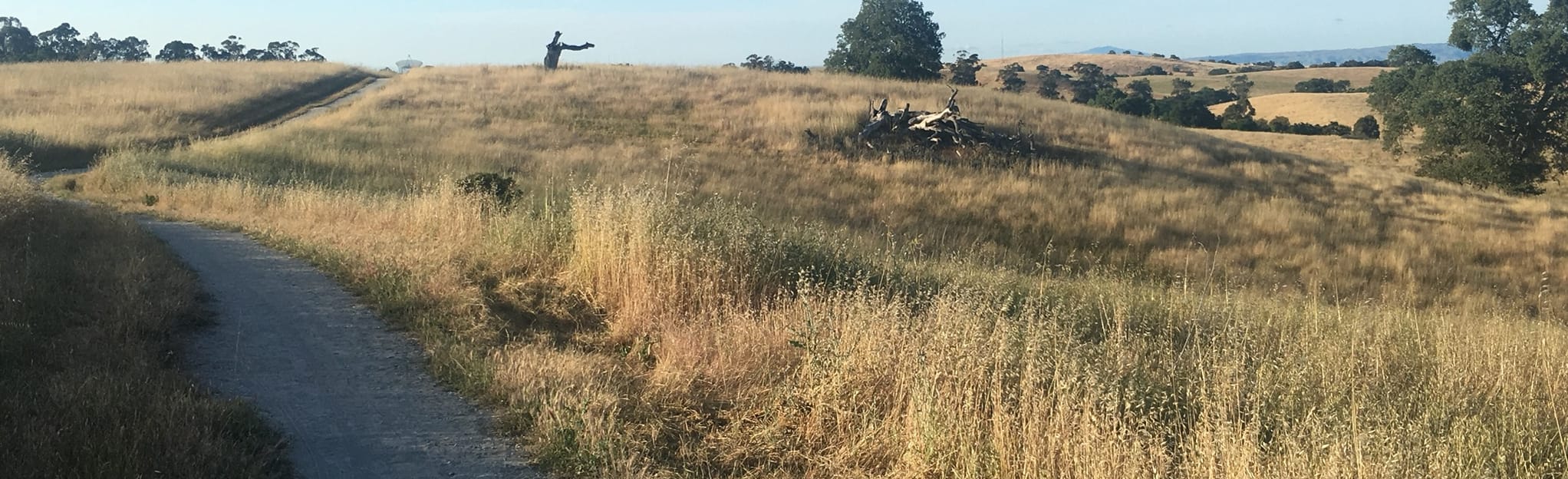 Meadowlark and Ohlone Trails Loop: 1.577 foto - California | AllTrails