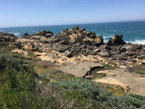 10 Best Hikes and Trails in Salt Point State Park | AllTrails