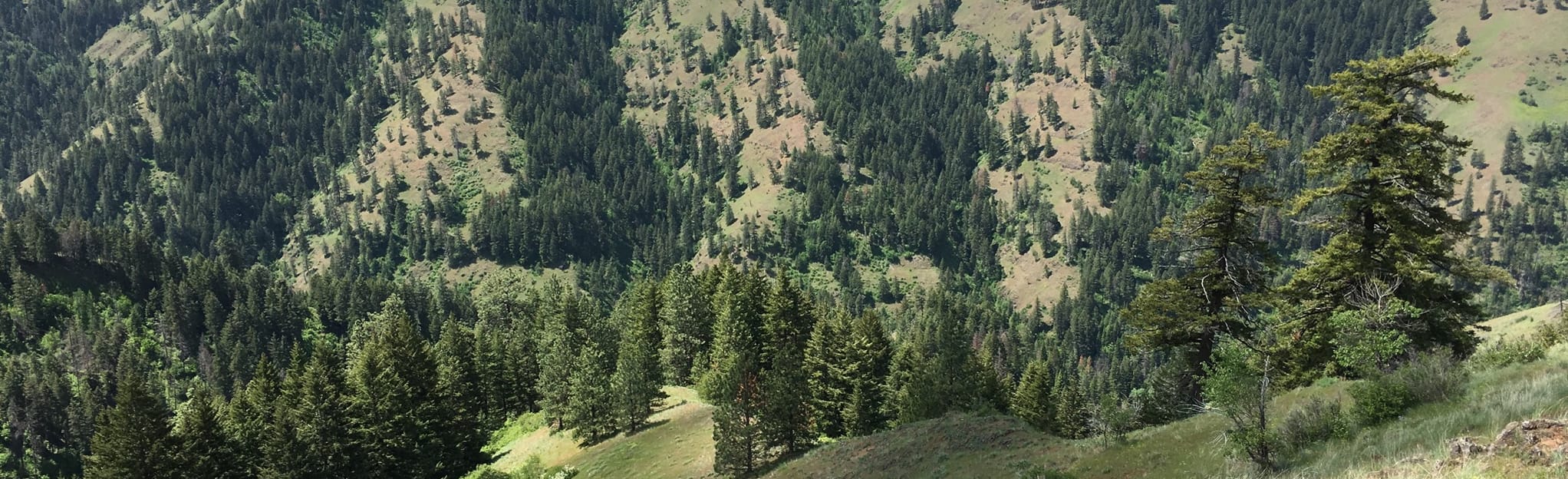 Tiger Ridge, Oregon - 15 Reviews, Map | AllTrails