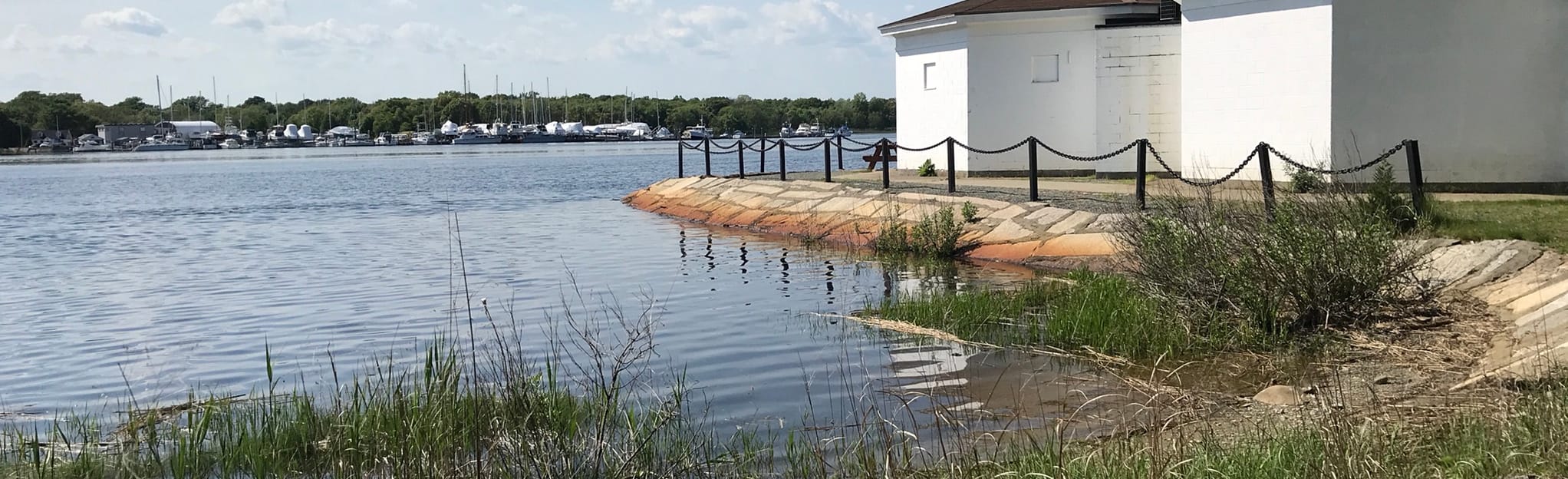 Dighton Rock Nature Loop, Massachusetts - 222 Reviews, Map | AllTrails