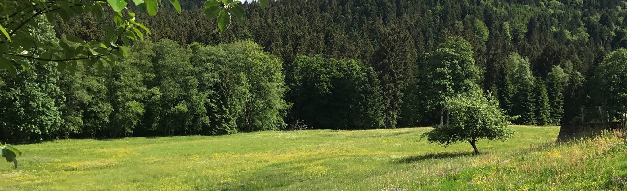 Col de Sapois and Saut de la Bourrique Waterfall: 135 Reviews, Map ...