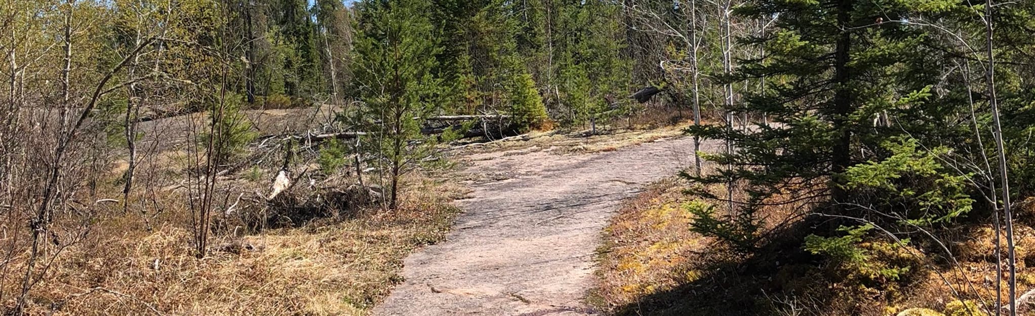 Big Whiteshell Mountain Bike Trail: 15 Reviews, Map - Ontario, Canada ...