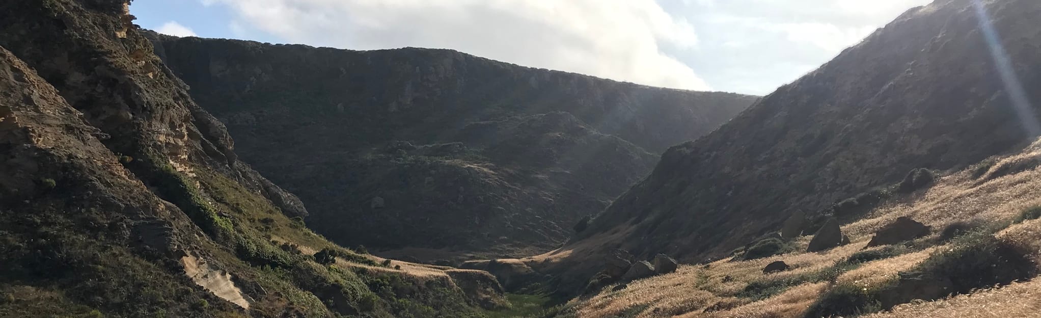 Lobo Canyon Trail, California - 93 Reviews, Map | AllTrails