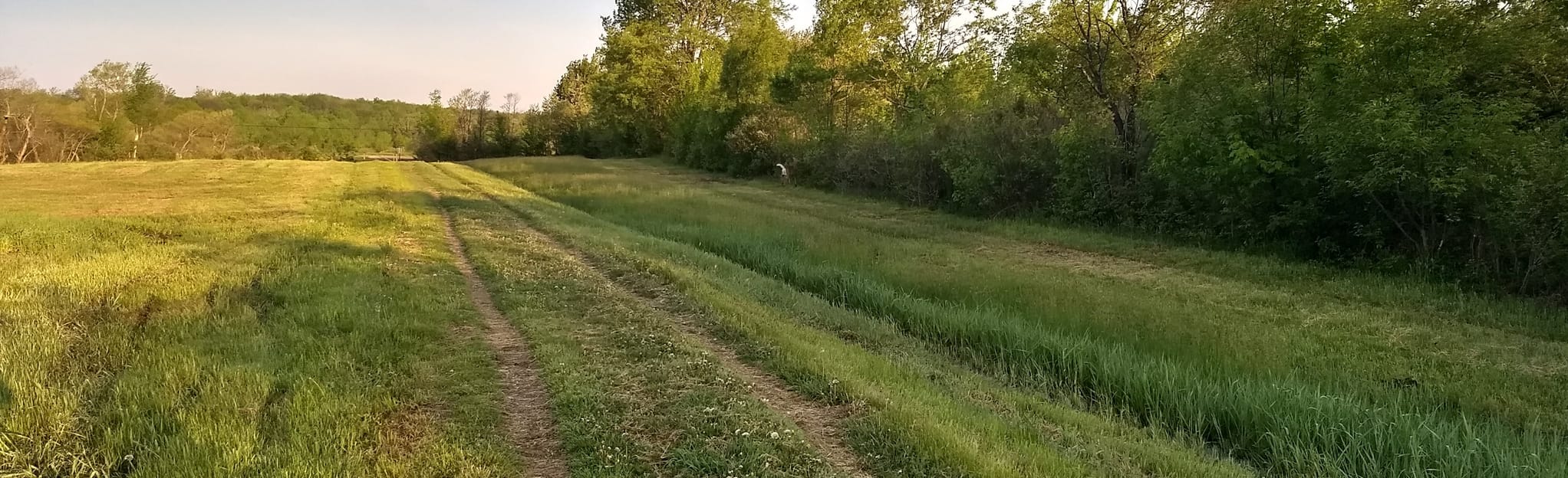 Howard Eaton Reservoir Loop : 194 Photos - Pennsylvanie | Randonnée ...