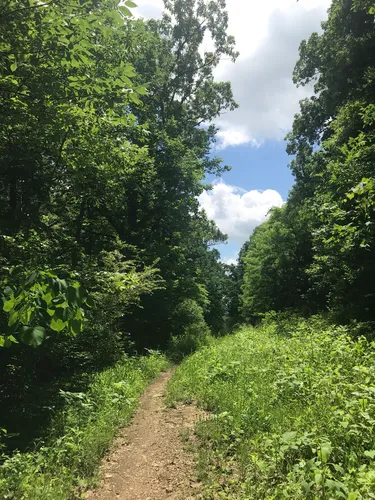 10 Best Trails and Hikes in Fayetteville | AllTrails
