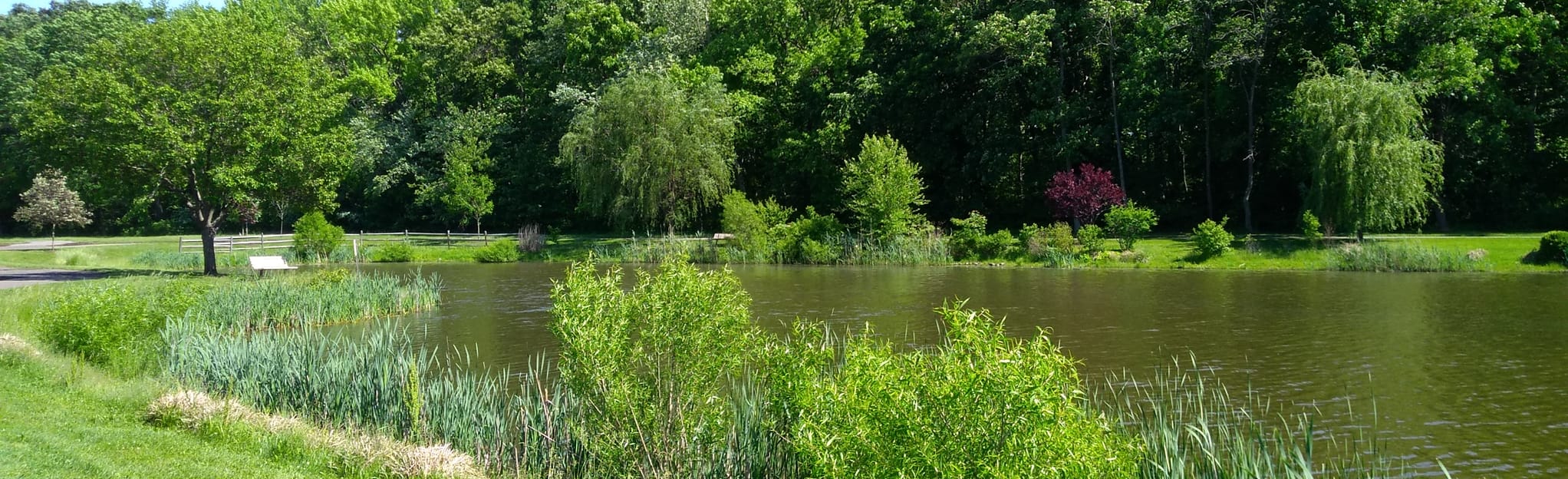 Pond and Nature Loop, New Jersey - 87 Reviews, Map | AllTrails