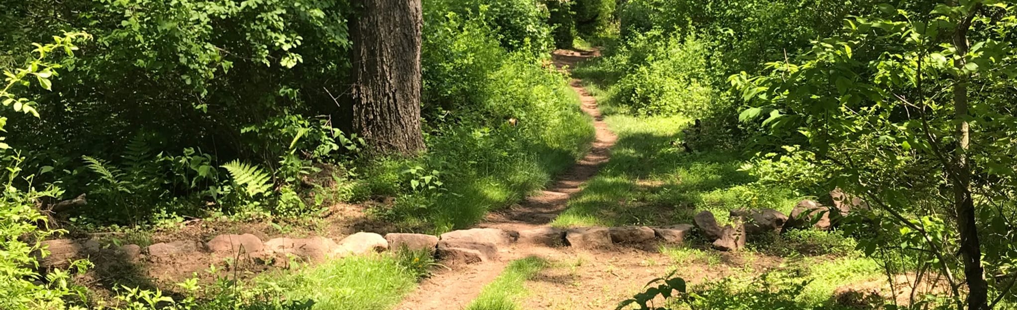 Lenape Trail and Boone Trail Loop: 363 Reviews, Map - Pennsylvania ...