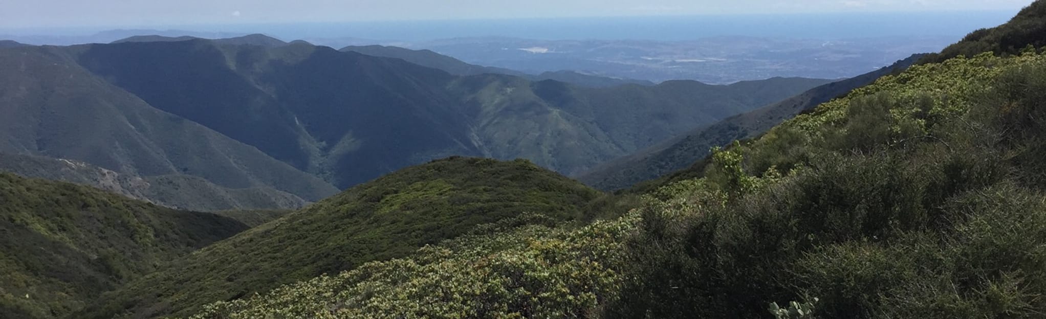 North Main Divide Road: 28 Reviews, Map - California | AllTrails