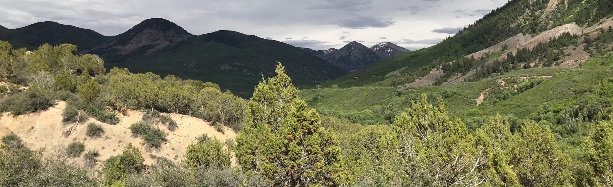 Needlerock Trail, Colorado - 96 Reviews, Map | AllTrails