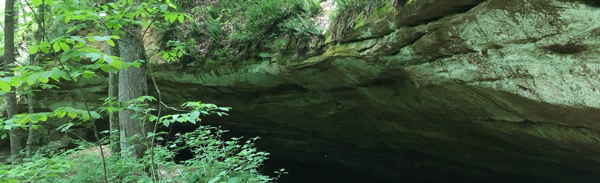Rock Cave Nature Preserve, Illinois - 44 Reviews, Map | AllTrails