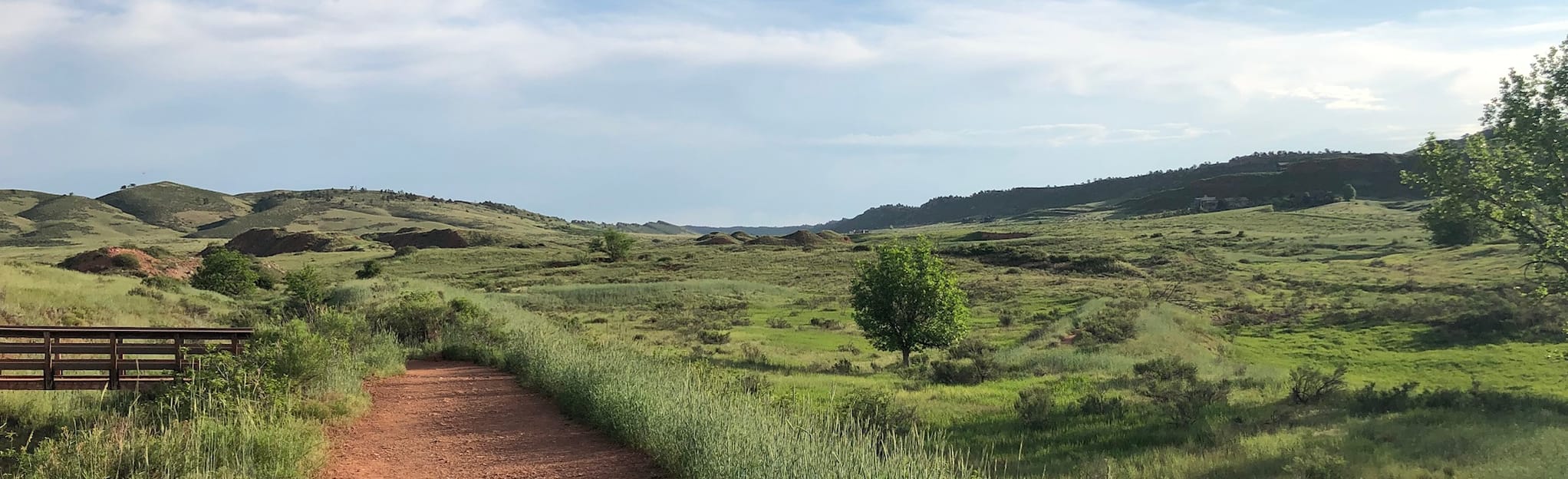 Devils Backbone and Rim Rock MTB Loop: 960 foto's - Colorado | Wandelen ...