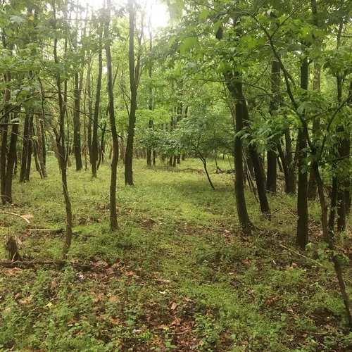 Best Hikes and Trails in Amico Island County Park | AllTrails