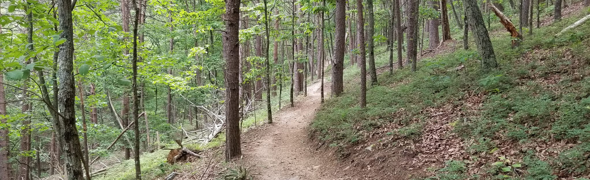 Hilltop, Mountainside and Ridgeline Loop, Georgia - 2,027 Reviews, Map ...