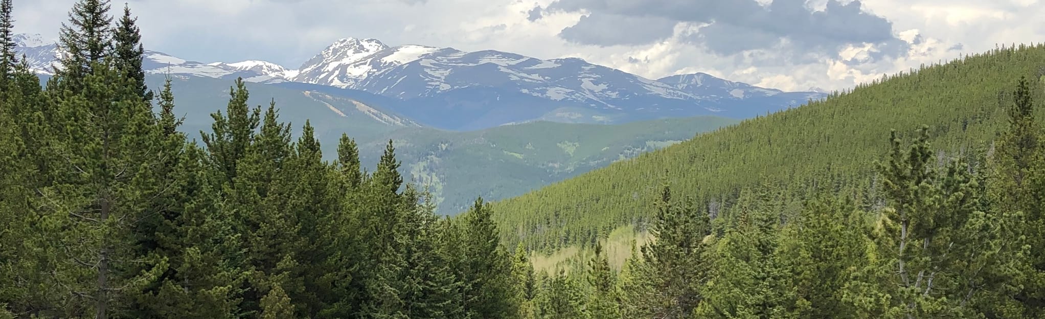 Jumbo Mountain, Jenny Lind Perigo and Dakota Hill OHV Trail: 36 Reviews ...