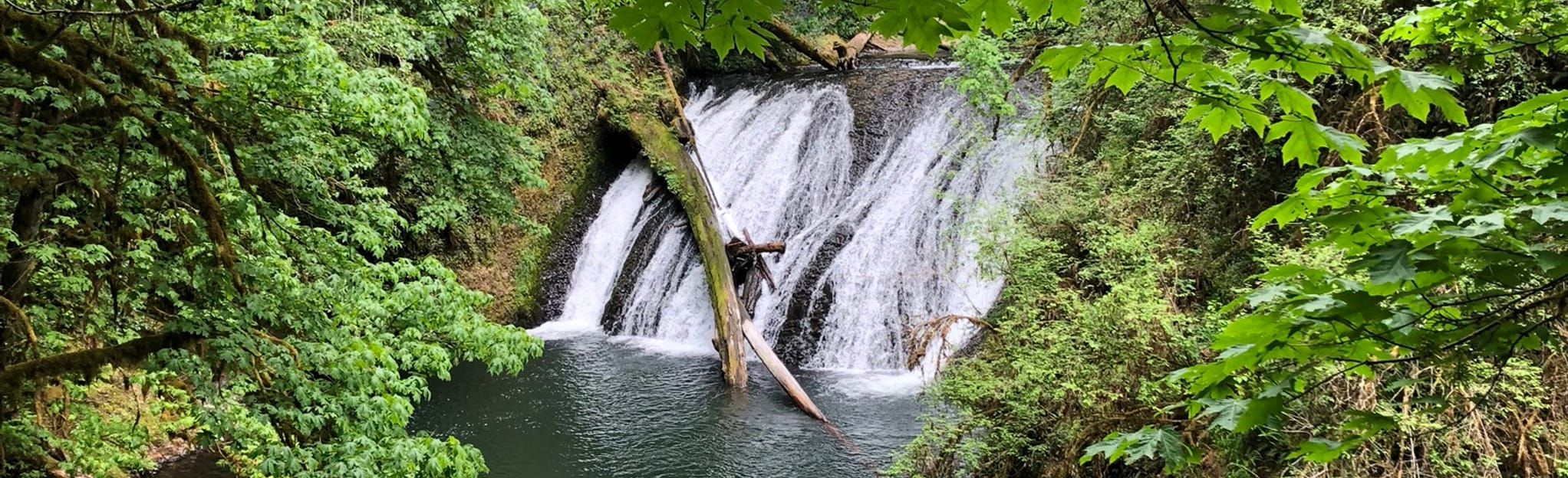 Lower North Falls and Double Falls via Canyon Trail, Oregon - 481 ...