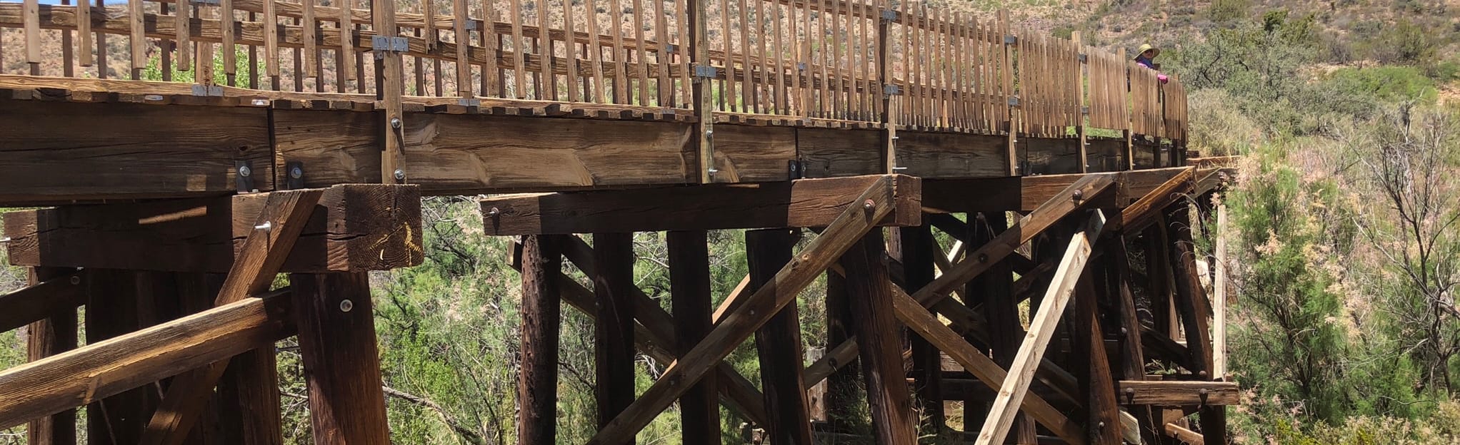 Salado Canyon Trail: 120 Reviews, Map - New Mexico | AllTrails