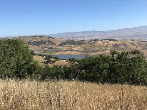 10 Best Hikes and Trails in Calero County Park | AllTrails
