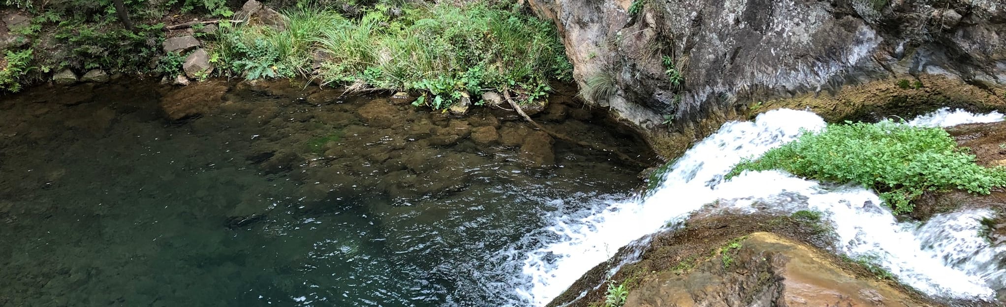 Jenolan River Walking Track [FECHADO] - New South Wales, Australia ...