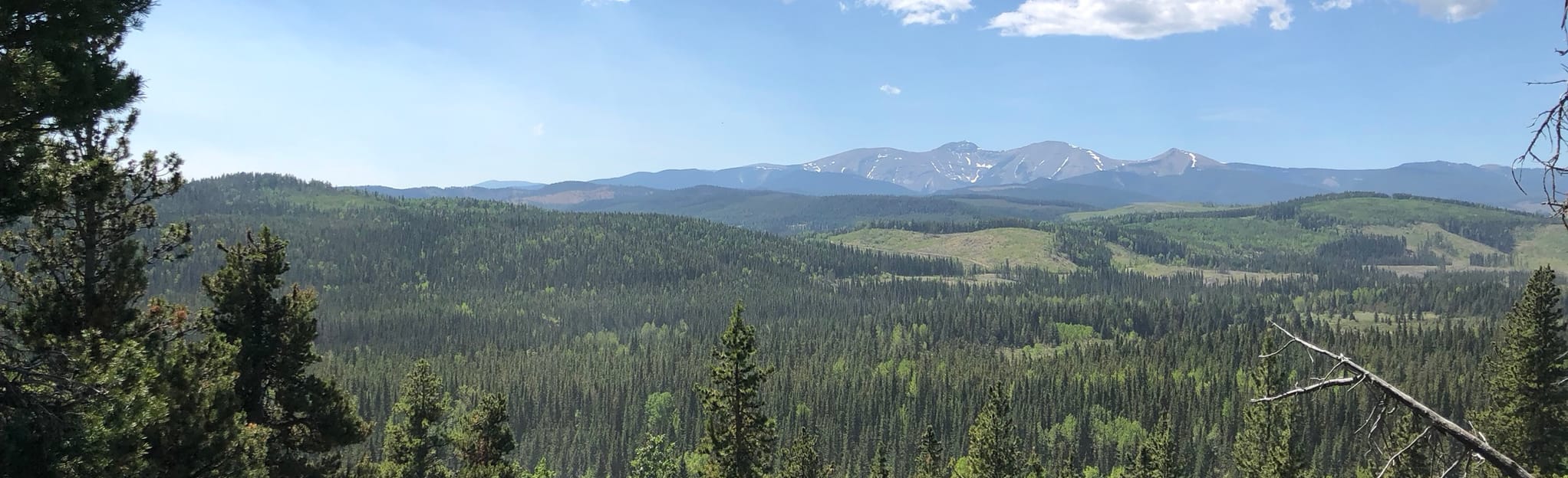 Jumpingpound Trail: 682 Reviews, Map - Alberta, Canada | AllTrails