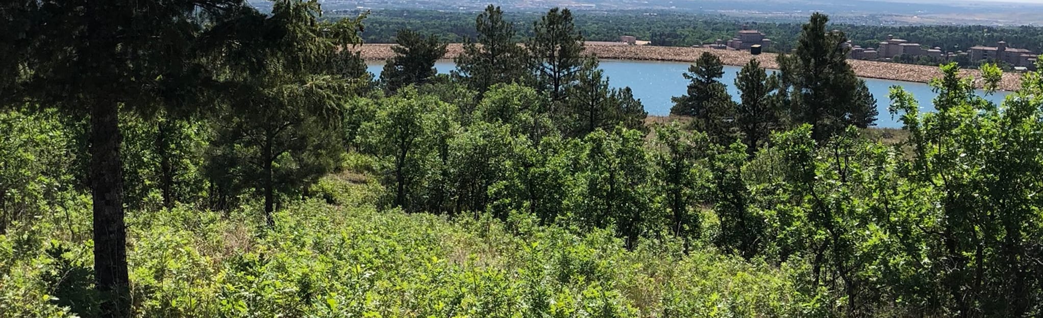 Wildflower, Upper Meadows, Ridge, Ponderosa, and Chamberlain Loop ...