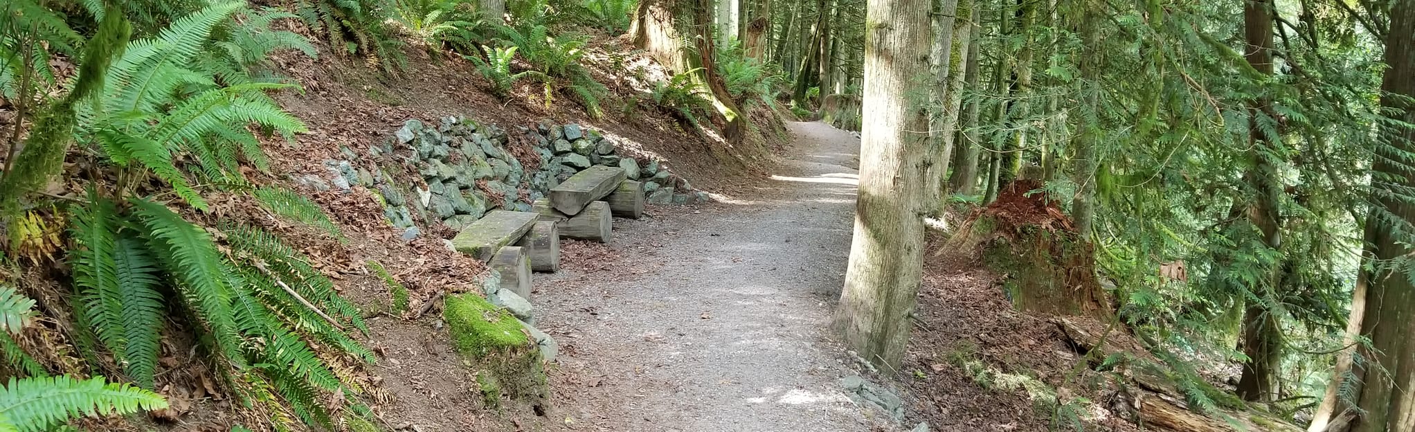 Nature Trail, Cairn, and Sidekick Loop: 363 Reviews, Map - Washington ...
