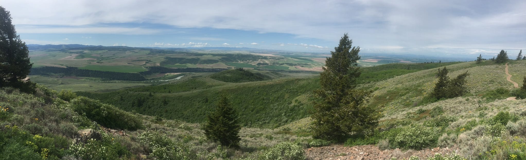 Kelly Mountain, Idaho - 82 Reviews, Map | AllTrails