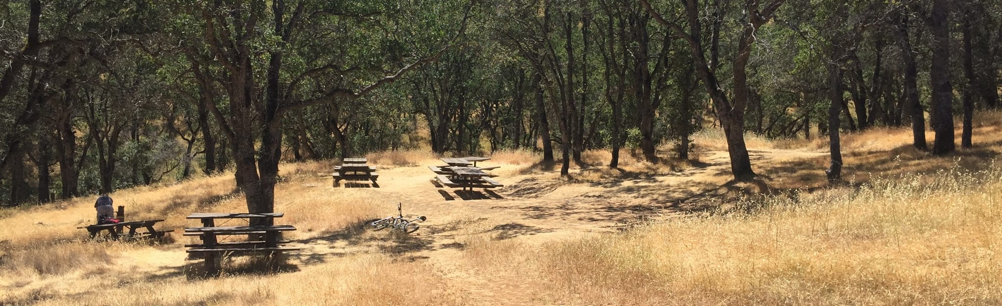 Miwok Trail to Round Valley Group Camp: 95 Reviews, Map - California ...