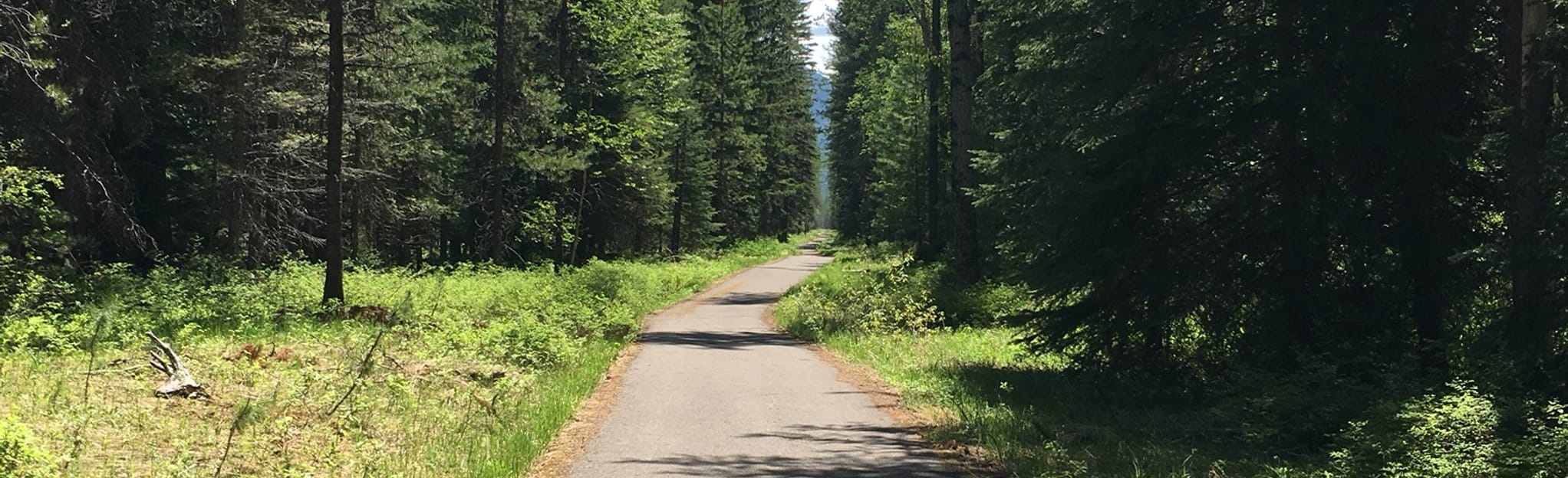 Apgar Bike Trail, Montana - 268 Reviews, Map | AllTrails