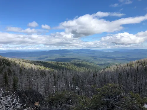 Best Hikes and Trails in Gearhart Mountain Wilderness | AllTrails
