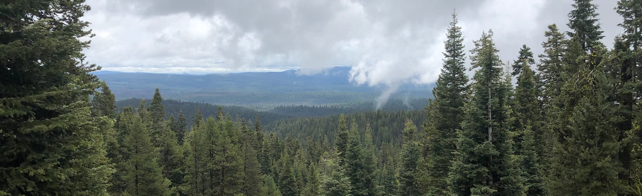 Gearhart Mountain Trail: 13 Reviews, Map - Oregon | AllTrails