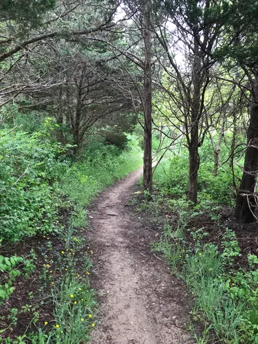 10 Best Hikes and Trails in Cape Cod National Seashore | AllTrails