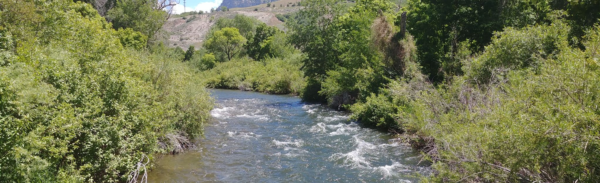 Canyon View Park Provo River Loop, Utah - 224 Reviews, Map | AllTrails