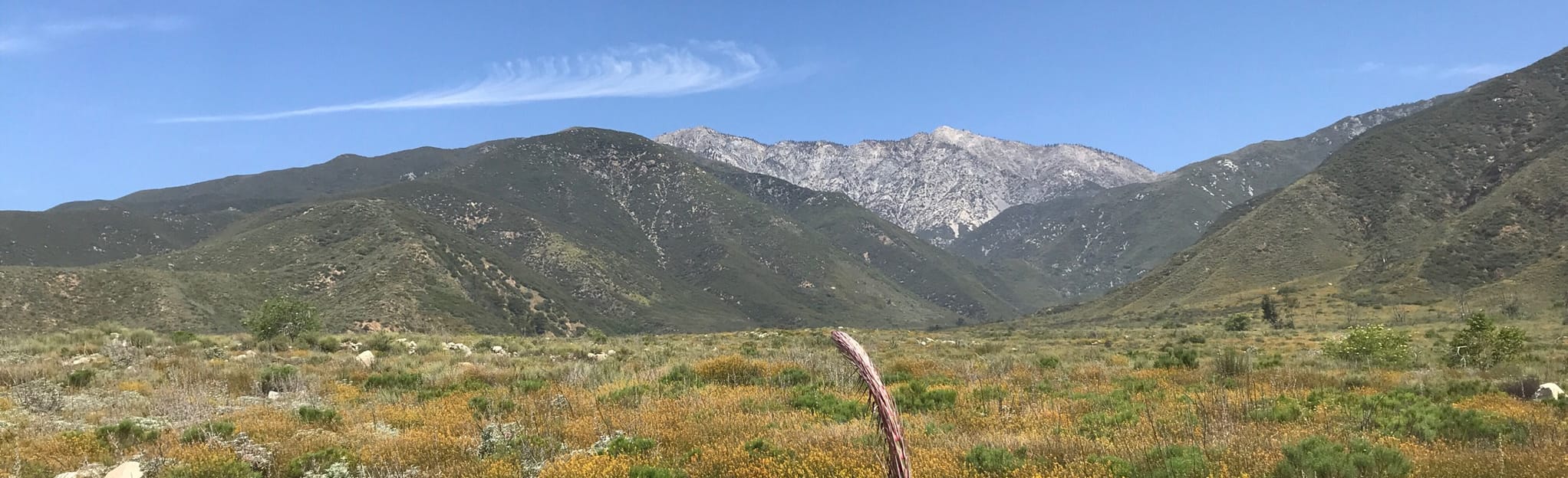 North Etiwanda Falls and Preserve Loop: 1121 Reviews, Map - California ...