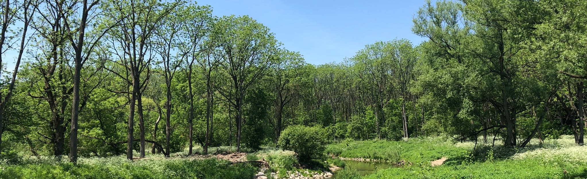 Archie Coulter West, Ontario, Canada - 121 Reviews, Map | AllTrails