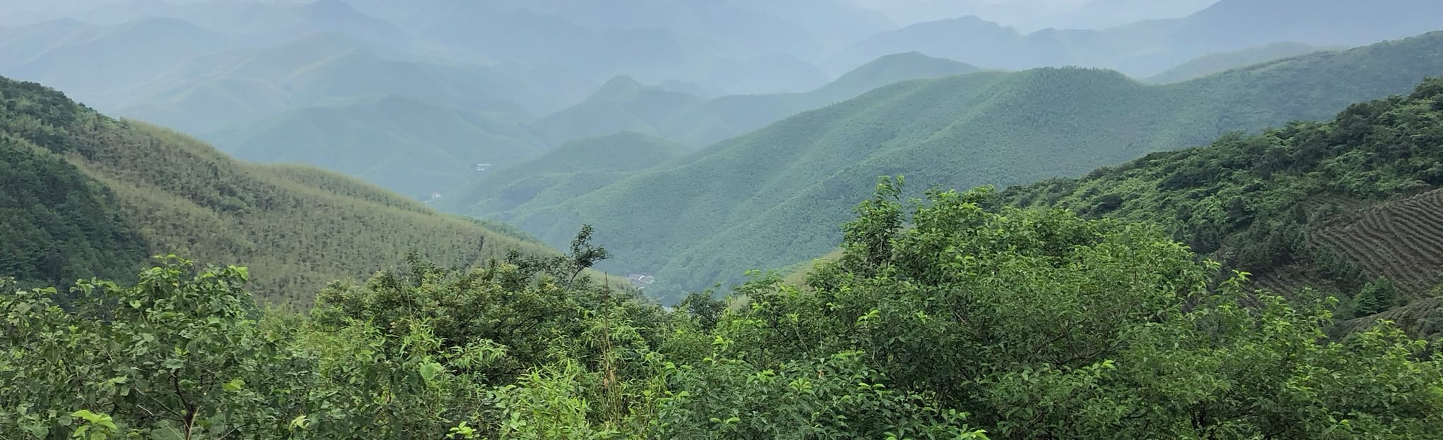 Mount Mogan Solvang Viewpoint Loop: 7 Reviews, Map - Zhejiang, China ...