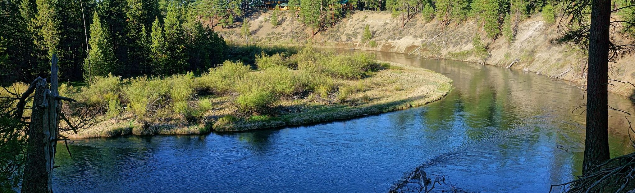 Big Pine Loop: 50 Reviews, Map - Oregon | AllTrails