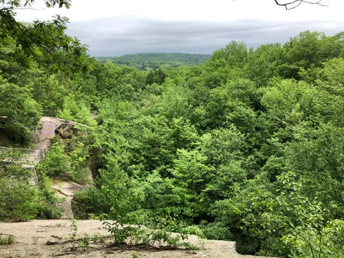 Best Forest Trails in Lake Mohegan | AllTrails