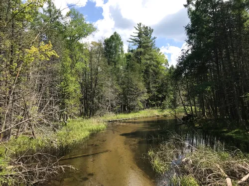 10 Best Backpacking Trails in Michigan | AllTrails