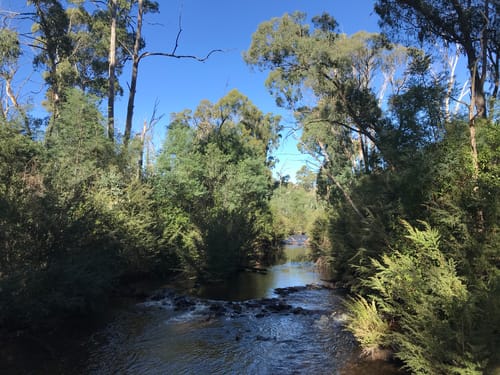 Best Hikes and Trails in Murrindindi River Natural Features and Scenic ...